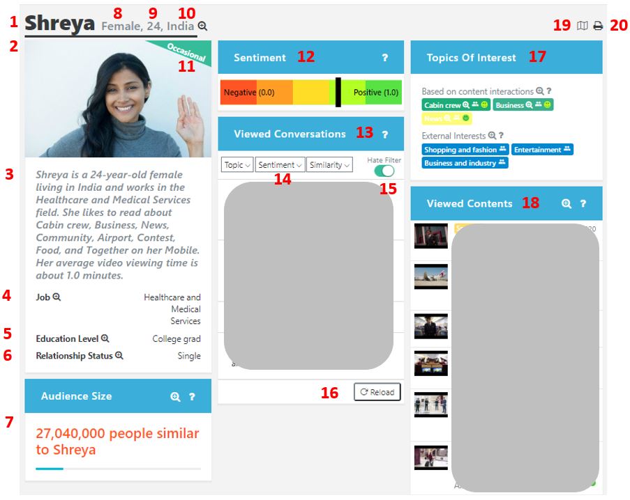 What do you get in an APG persona profile? – The Persona Blog