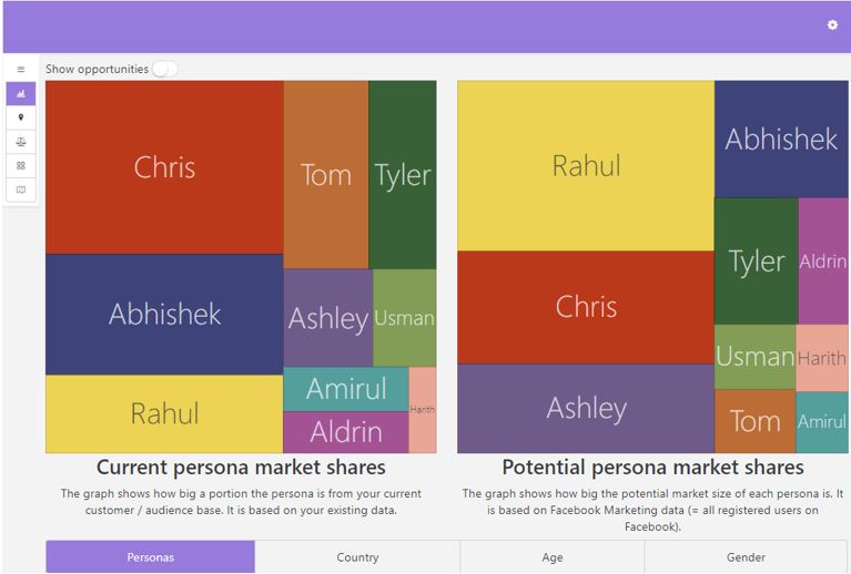 APG calculates the number of customers represented by each persona ...