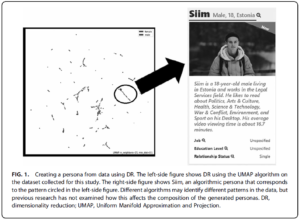 Big Data, Small Personas: How Algorithms Shape the Demographic ...